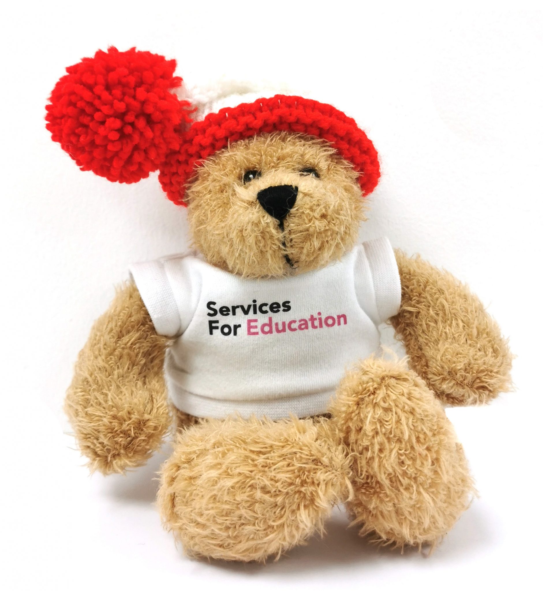 Bailey the Bear - Services For Education